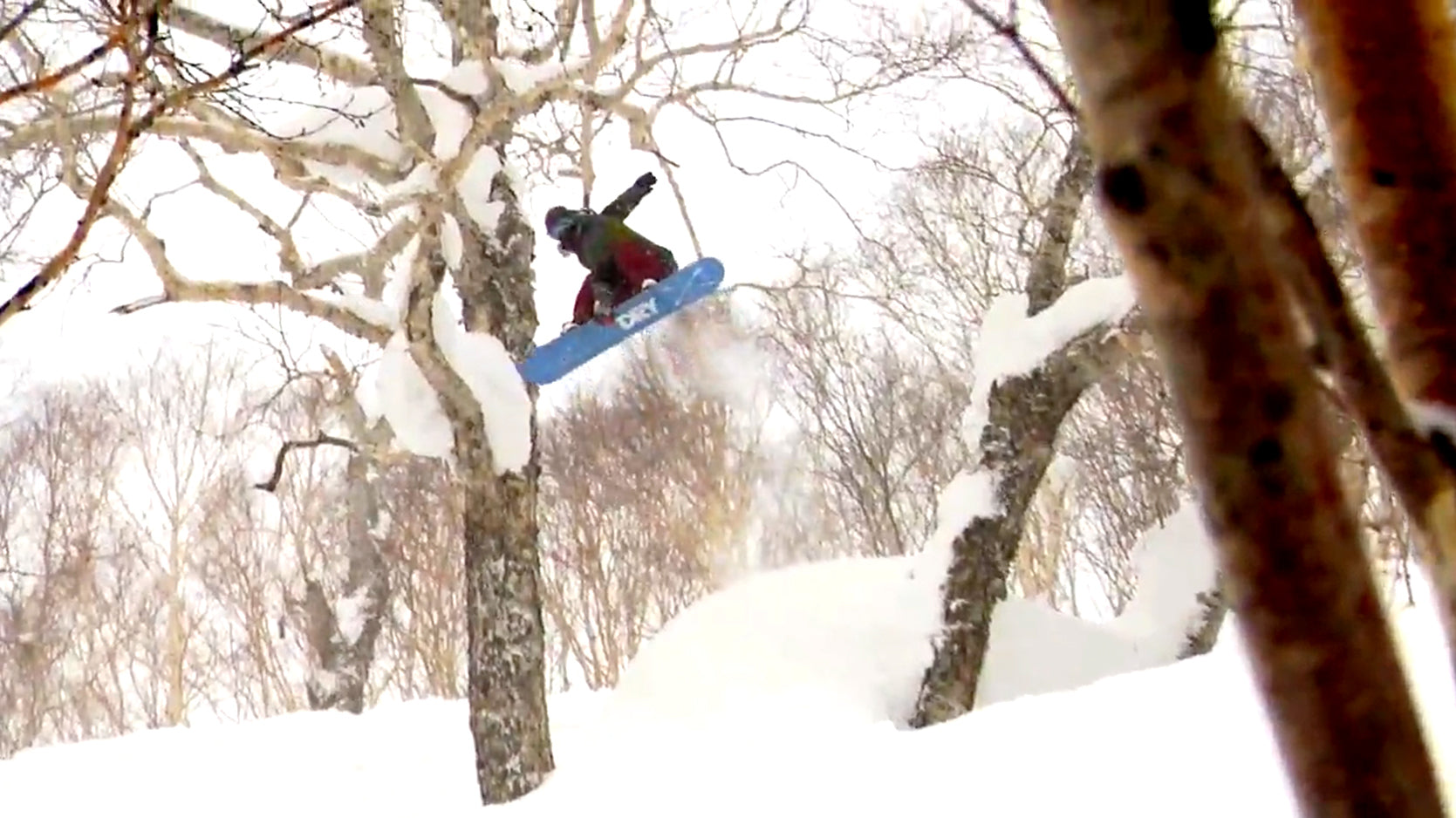 Harley Trivic - Full Part – Boardworld
