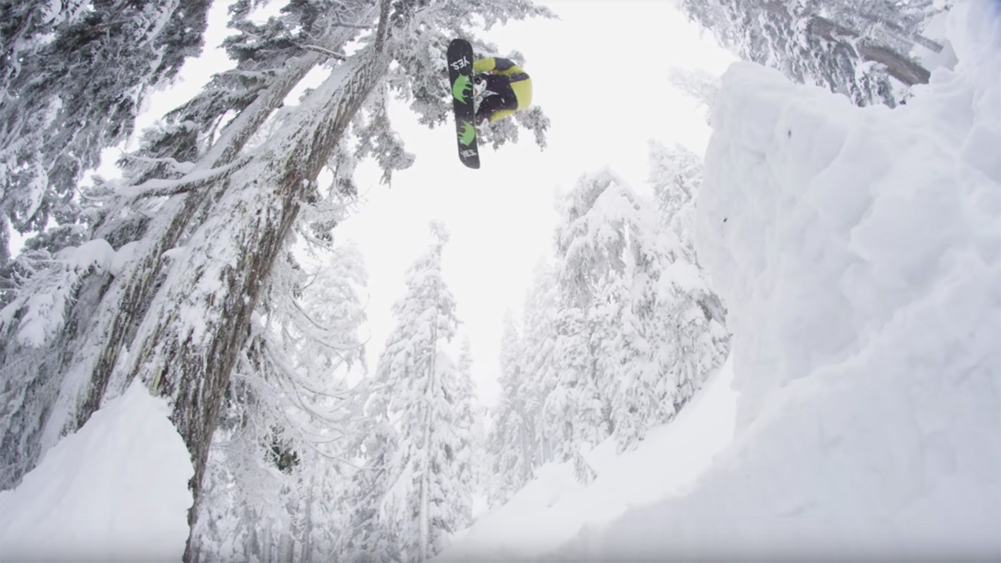 Ryan Tiene - Full Part – Boardworld